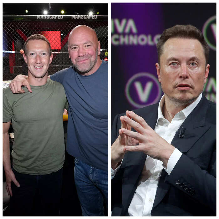 Elon Musk accepts UFC champion Georges St-Pierre's offer to train him ...
