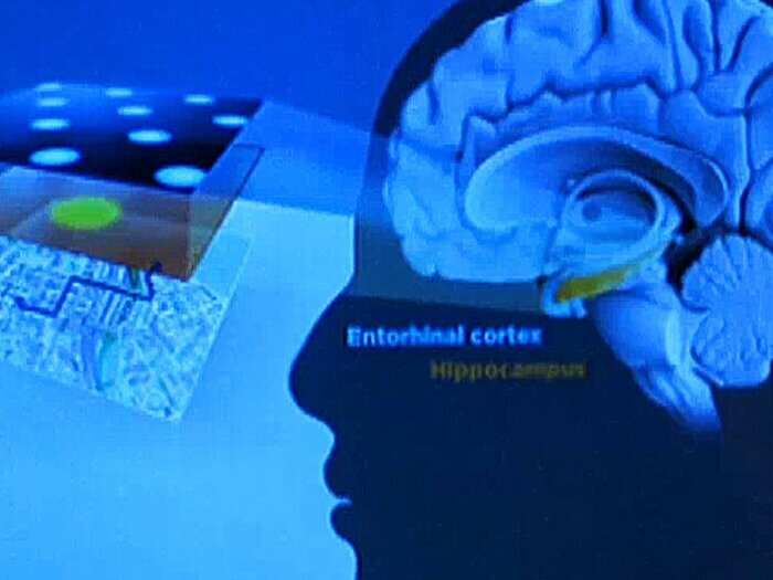 This Discovery Of The Brain's "Inner GPS" Just Won A Nobel Prize ...