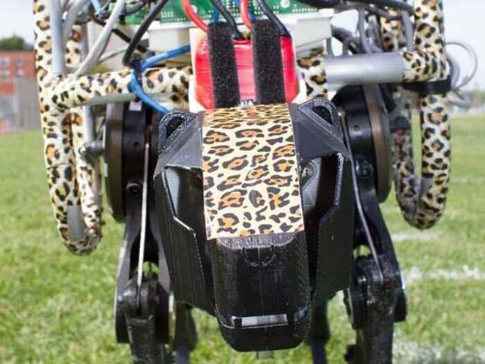 This Cheetah Robot Is 'A Ferrari In The Robotics World' | Business ...